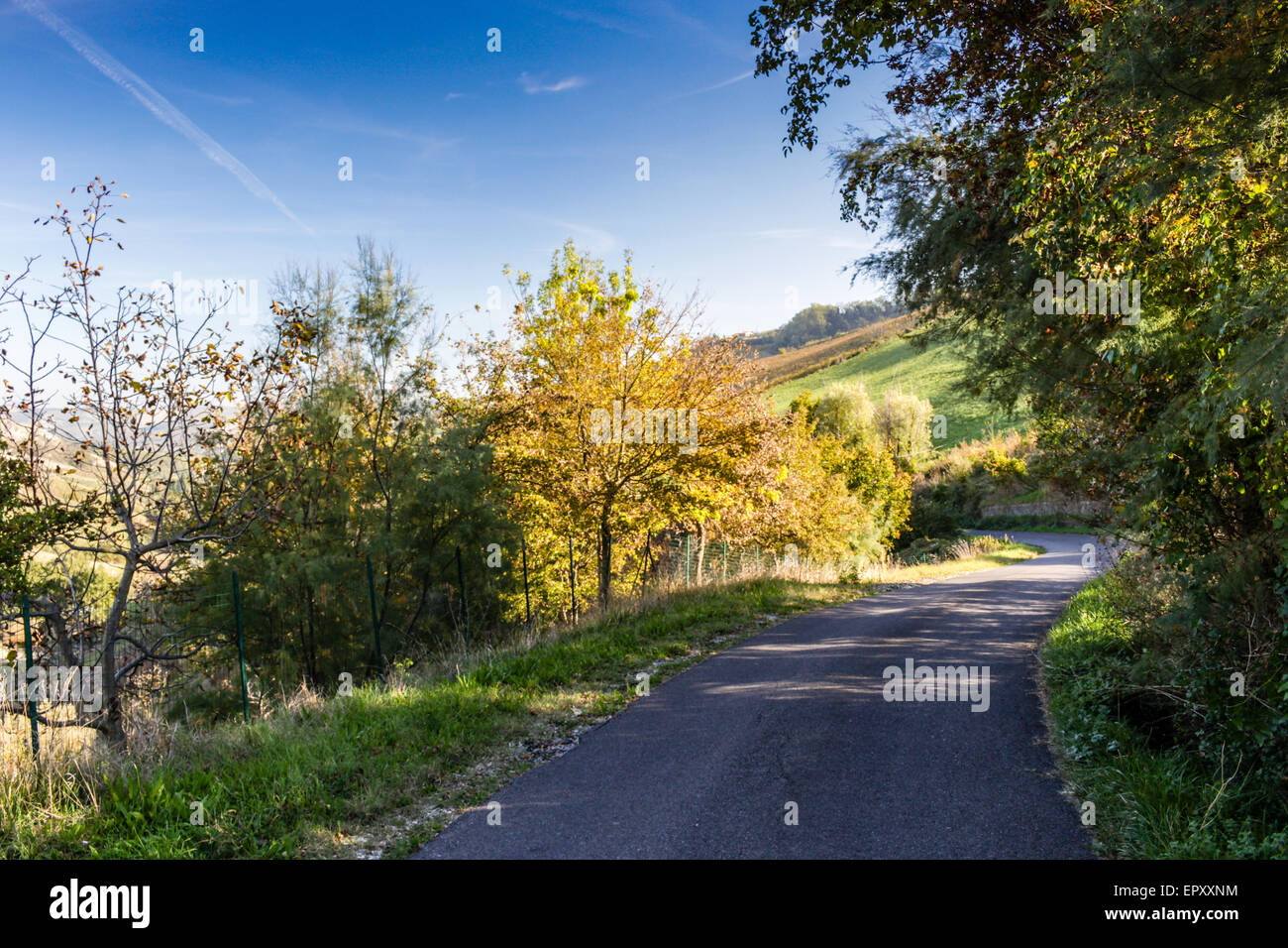 Generic vegetation and trees in cultivated fields under the gray ...
