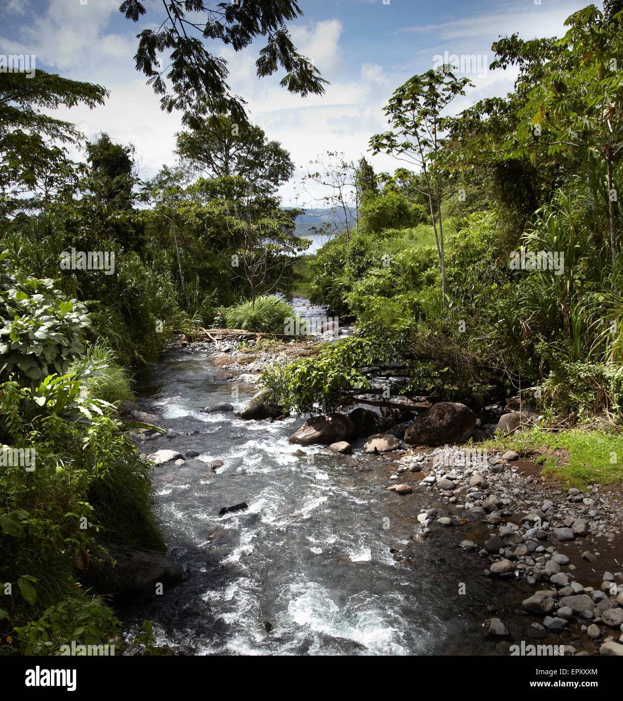 Tropical River Costa Rica
