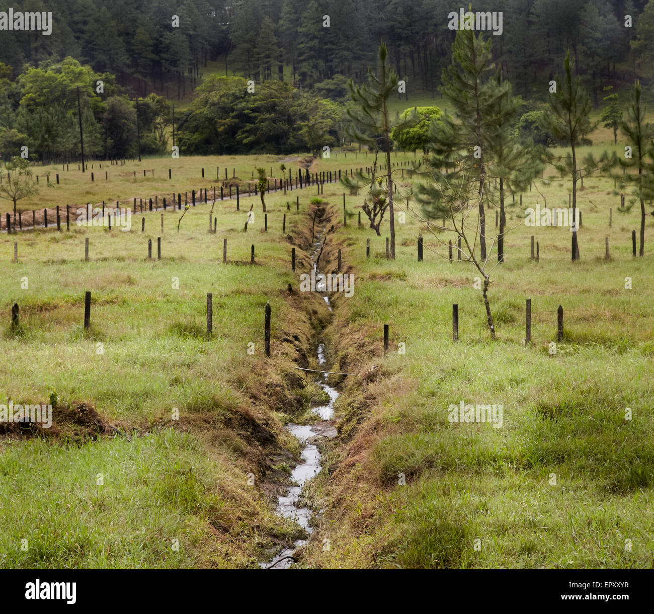 Stream crossing through a field hi-res stock photography and images - Alamy