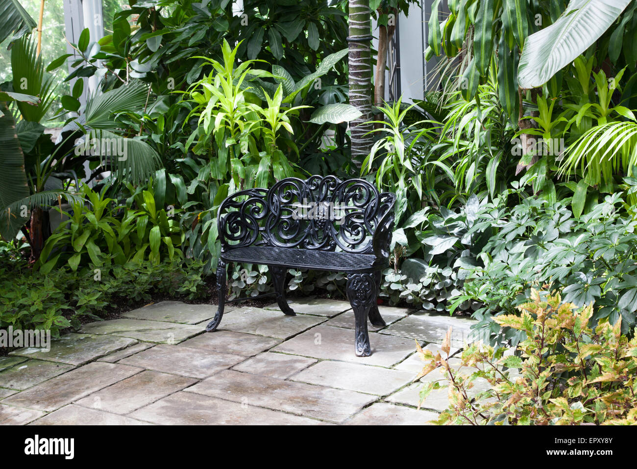 Bench in a greenhouse, Allan Gardens, Toronto, Ontario, Canada Stock ...