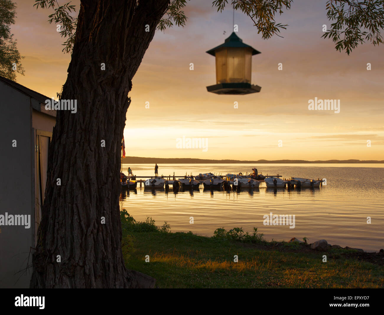 Bird feeder with boats in the background, Georgian Bay, Tobermory ...