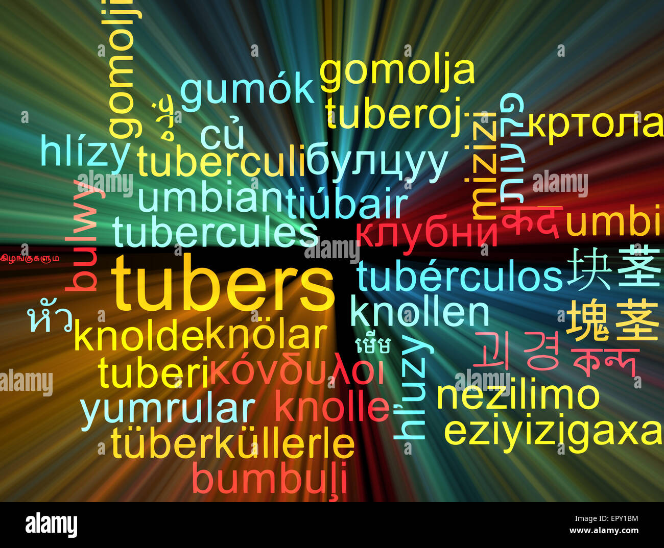 Tubers underground hi-res stock photography and images - Alamy