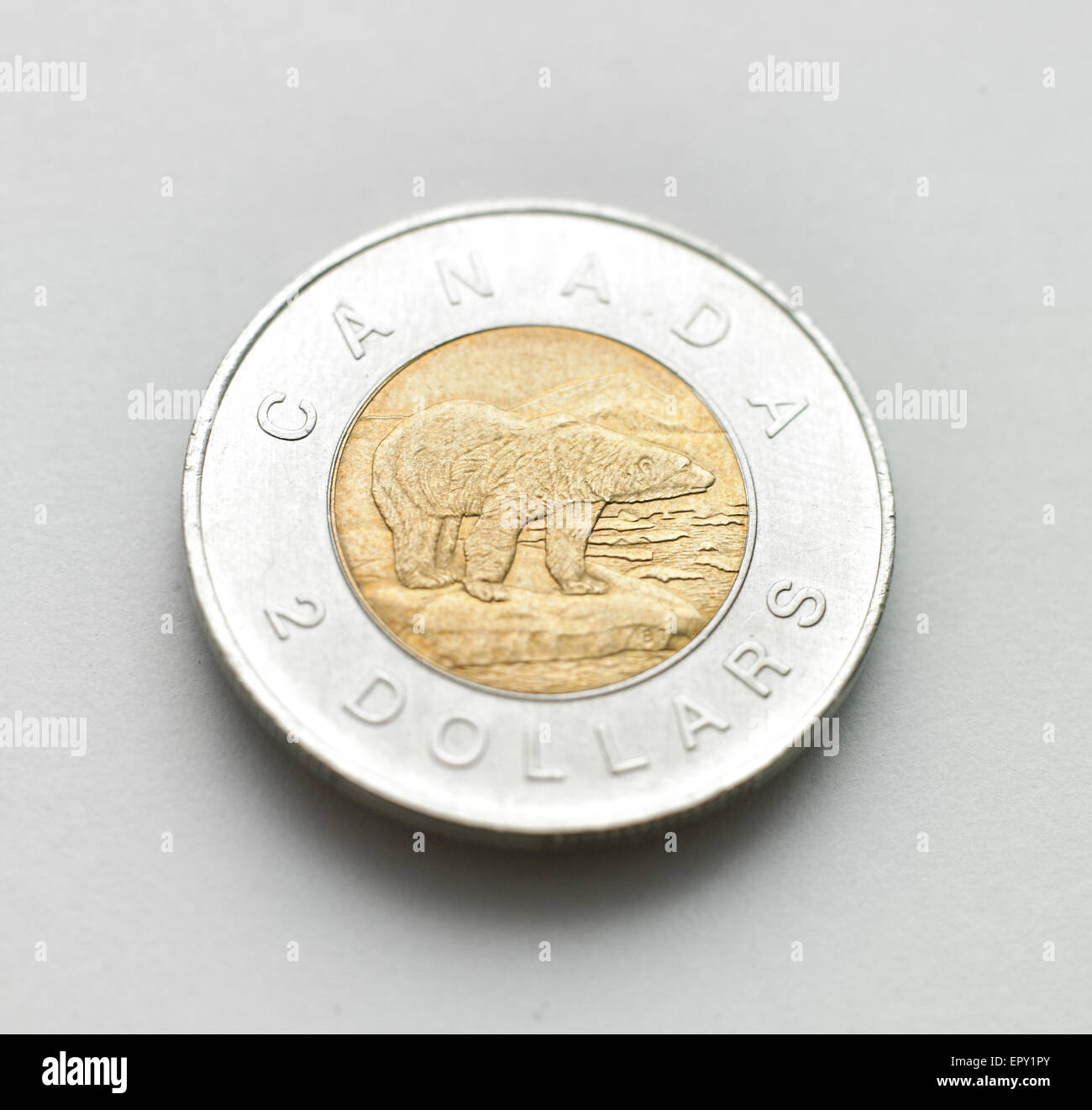 2 canadian dollars isolated on a white background Stock Photo - Alamy