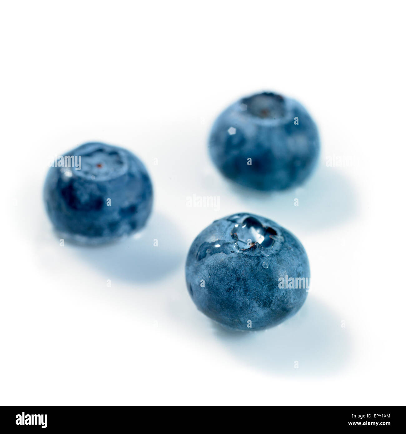 blueberries isolated on a white background Stock Photo - Alamy