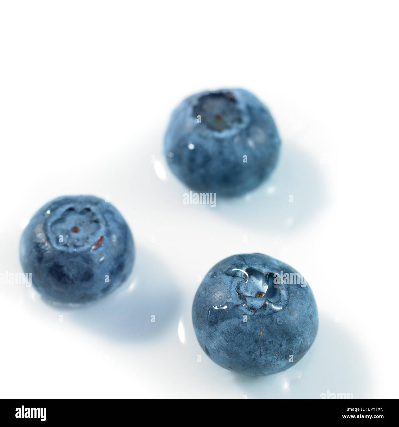 blueberries isolated on a white background Stock Photo - Alamy