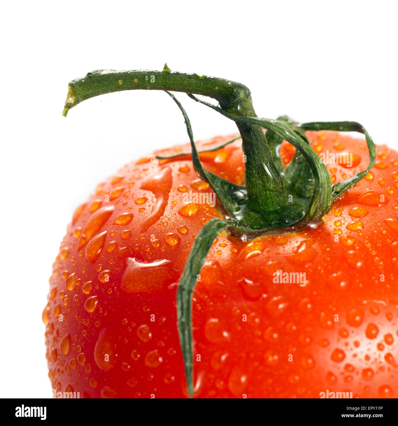 close-up of a red tomato isolated on a white background Stock Photo - Alamy