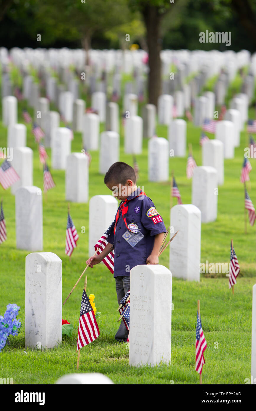 A cub scout places American flags at gravesites during Memorial Day ...
