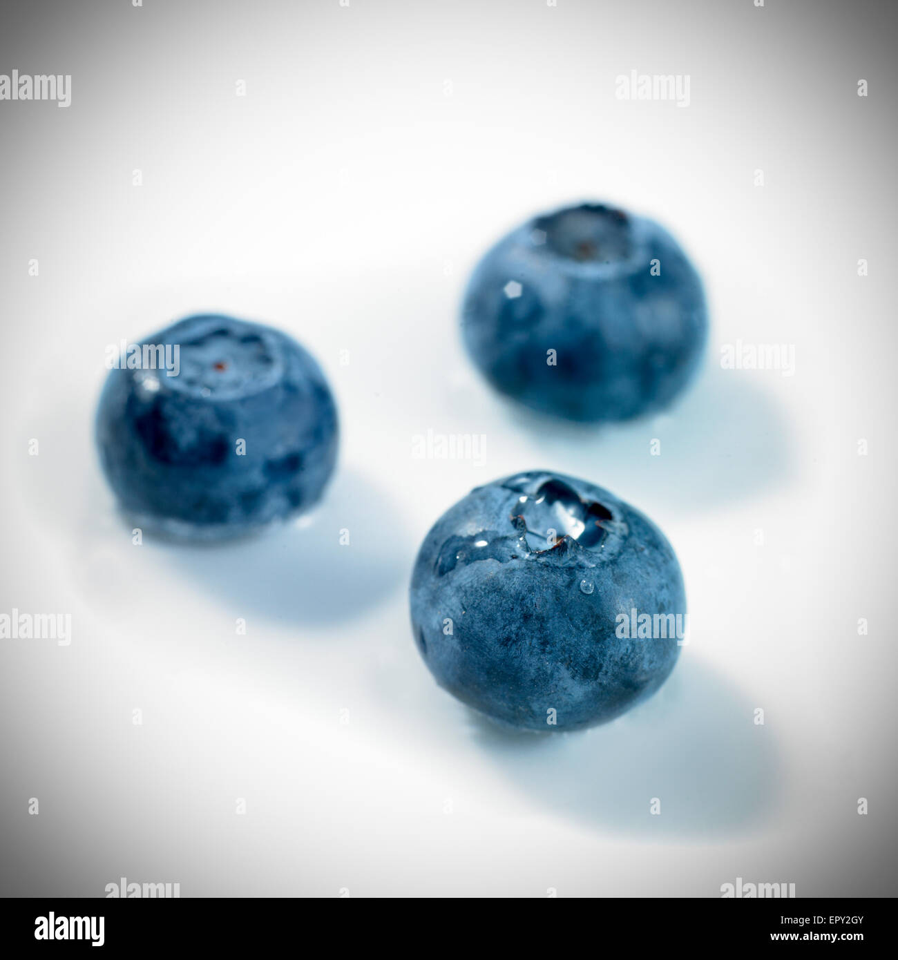 blueberries isolated on a white background Stock Photo - Alamy