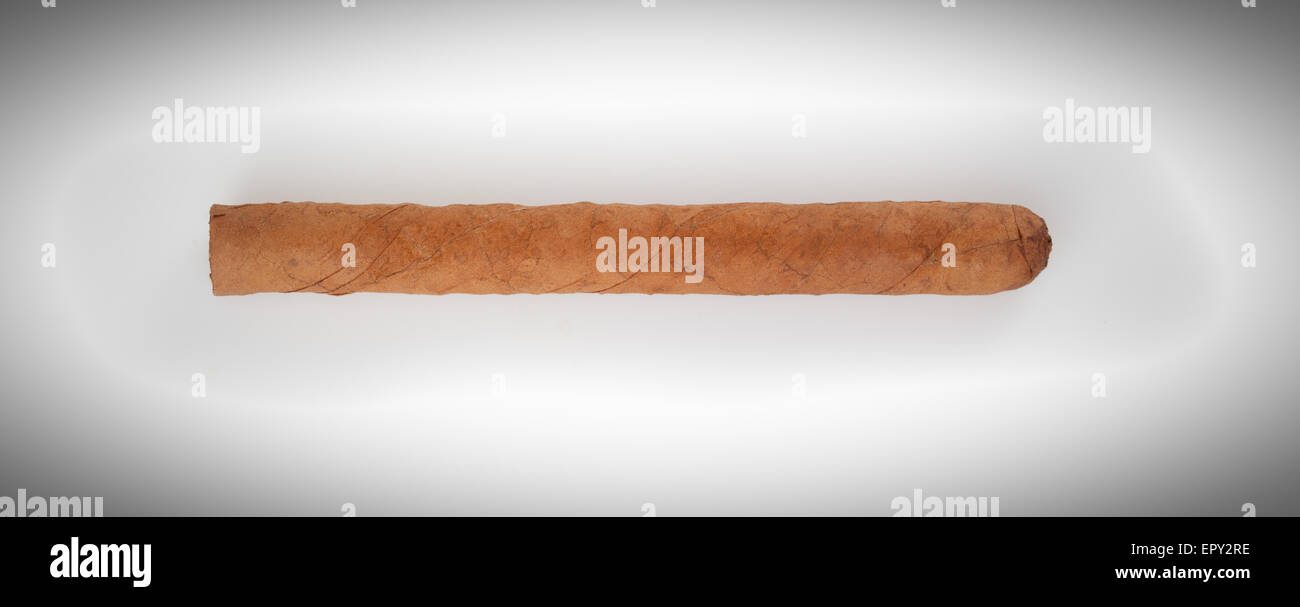 cigar isolated on a white background Stock Photo - Alamy