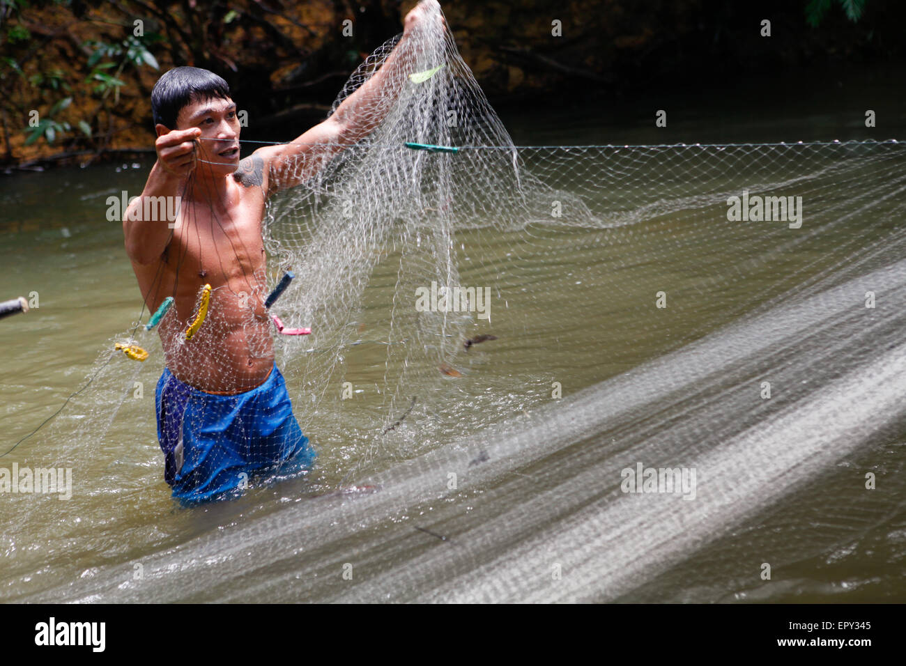 A man using a fishing net on a river in the middle of customary forest ...