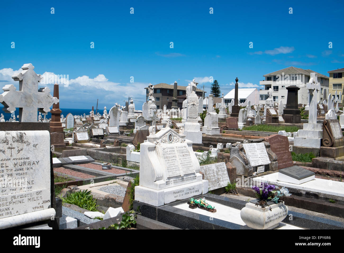 Waverley cemetery in Bronte in Sydney eastern suburbs,NSW,Australia ...
