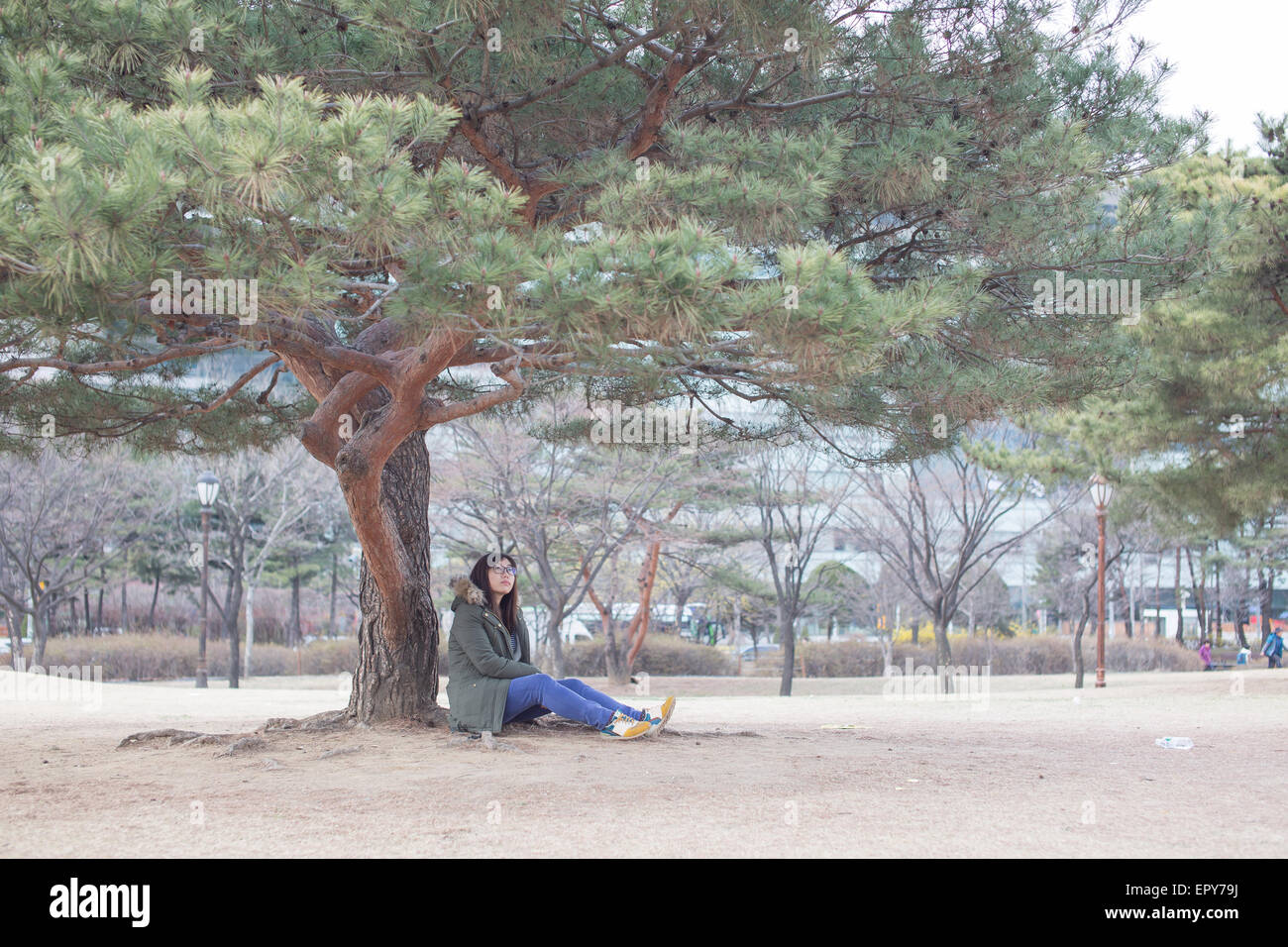 Asian woman sitting relax under big tree Stock Photo - Alamy