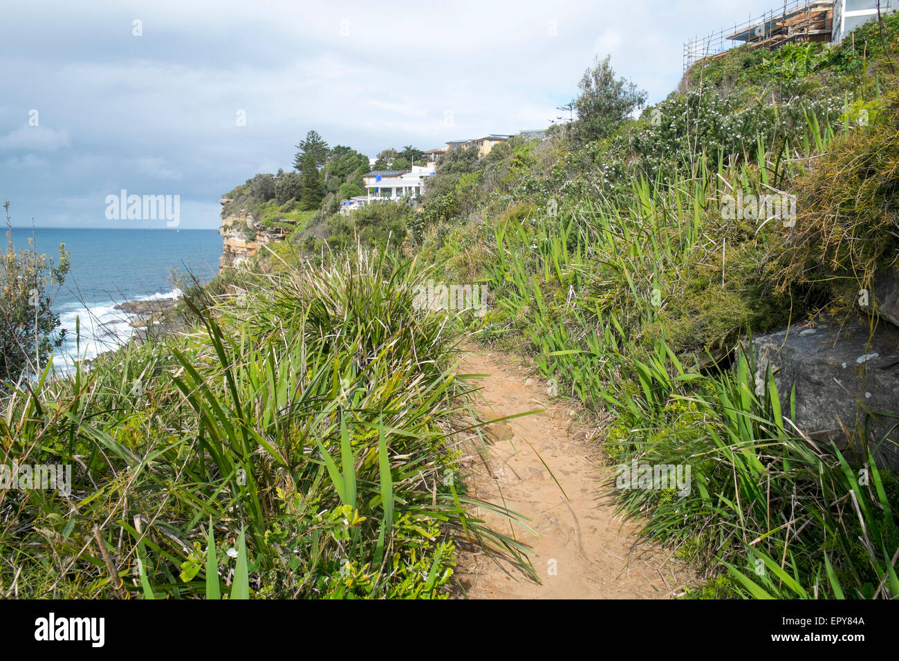 looking south along the coastal walking route between Dee why beach and ...