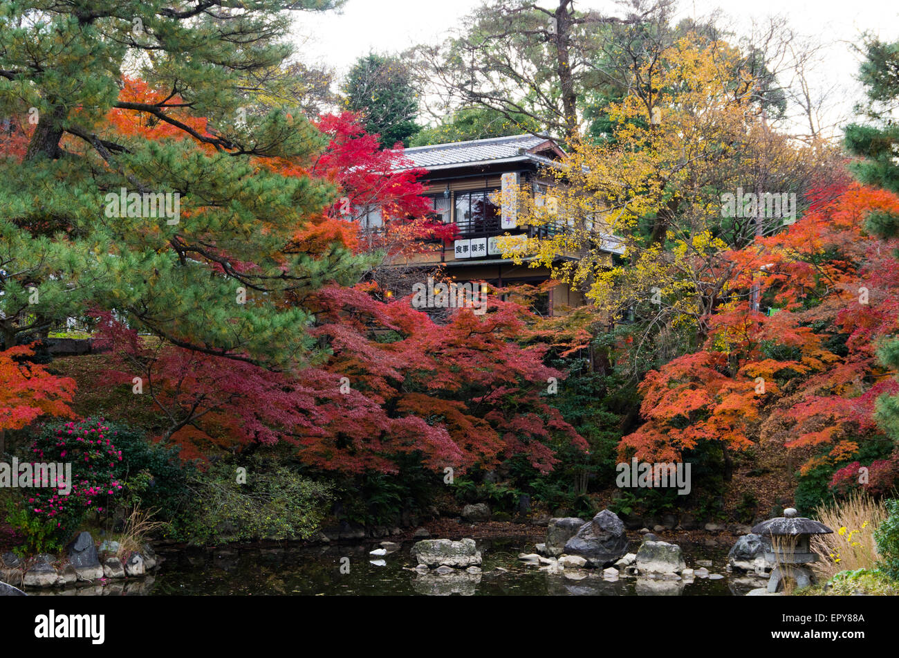 Colourful japanese garden Stock Photo - Alamy