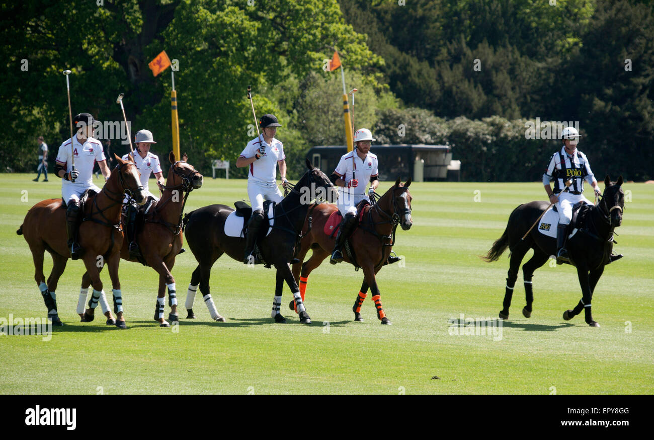 Polo match at Cowdray Park Stock Photo - Alamy