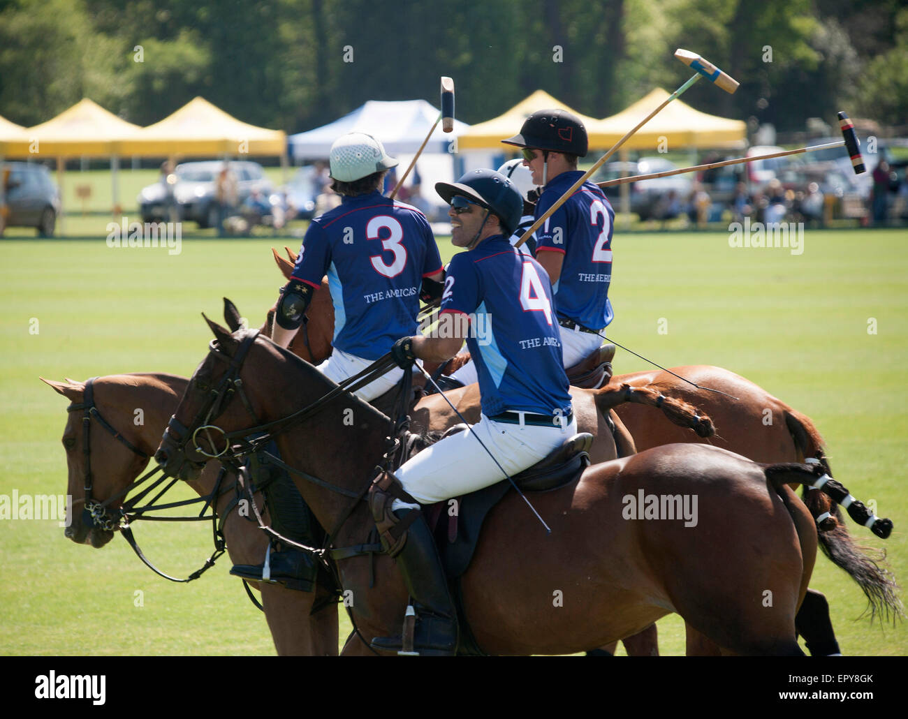 Polo match at Cowdray Park Stock Photo - Alamy