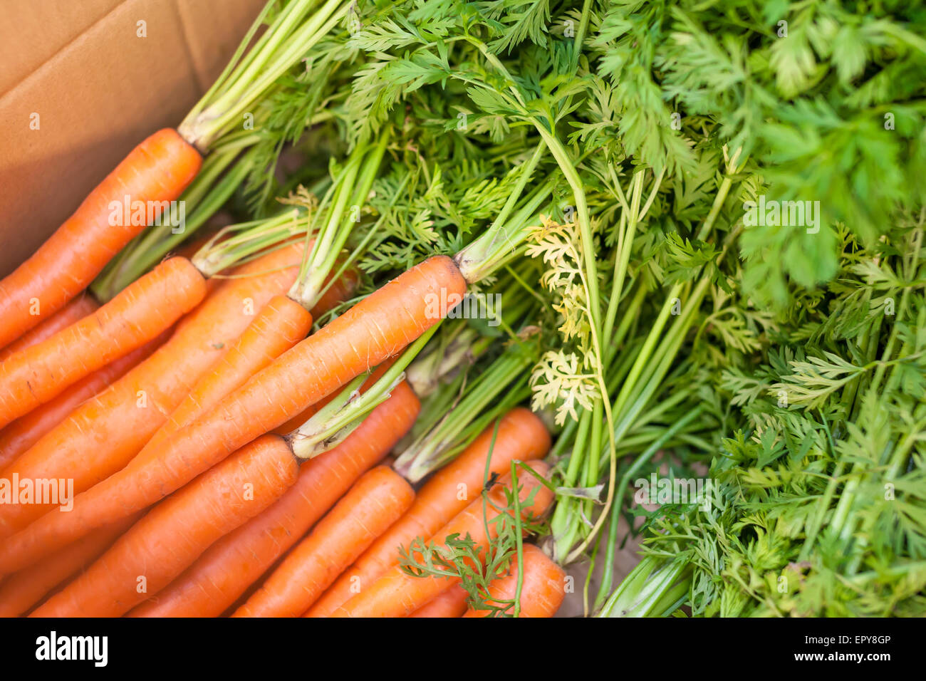 Carrot in box Stock Photo - Alamy