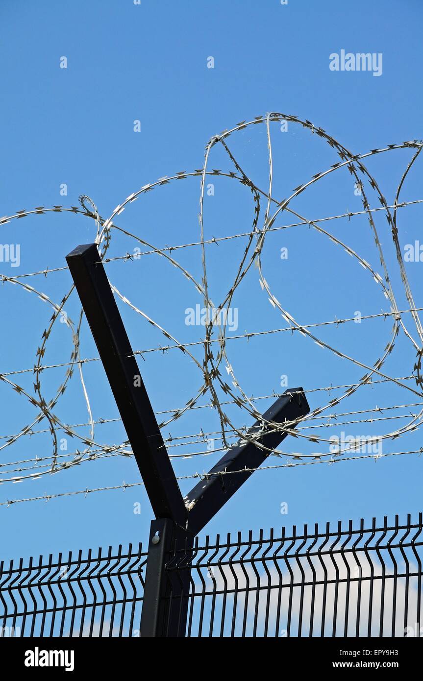 Coiled barbed wire on top of a security fence Stock Photo - Alamy