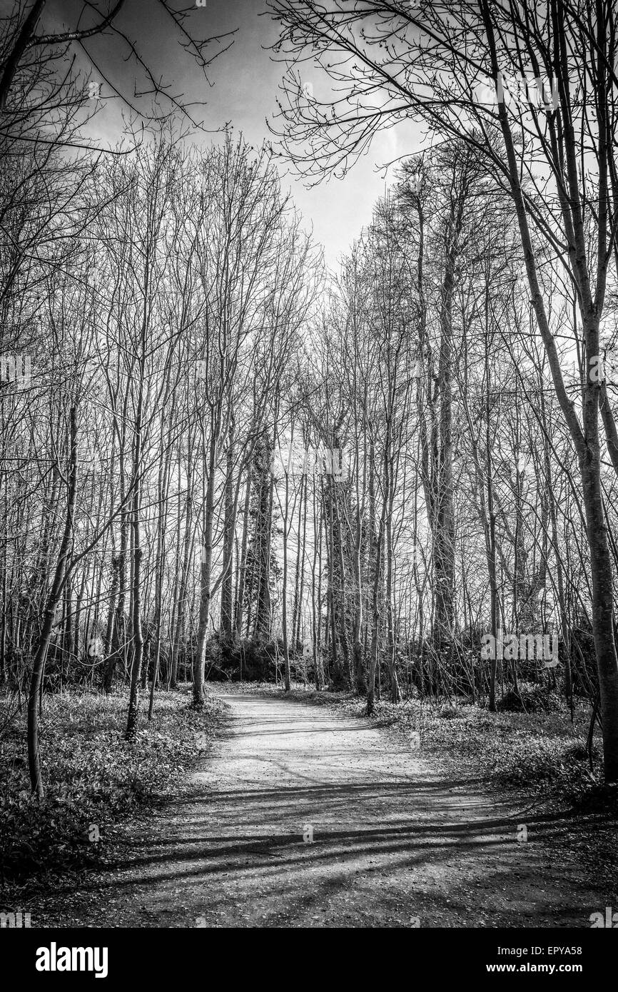 Garden path uk Black and White Stock Photos & Images - Alamy