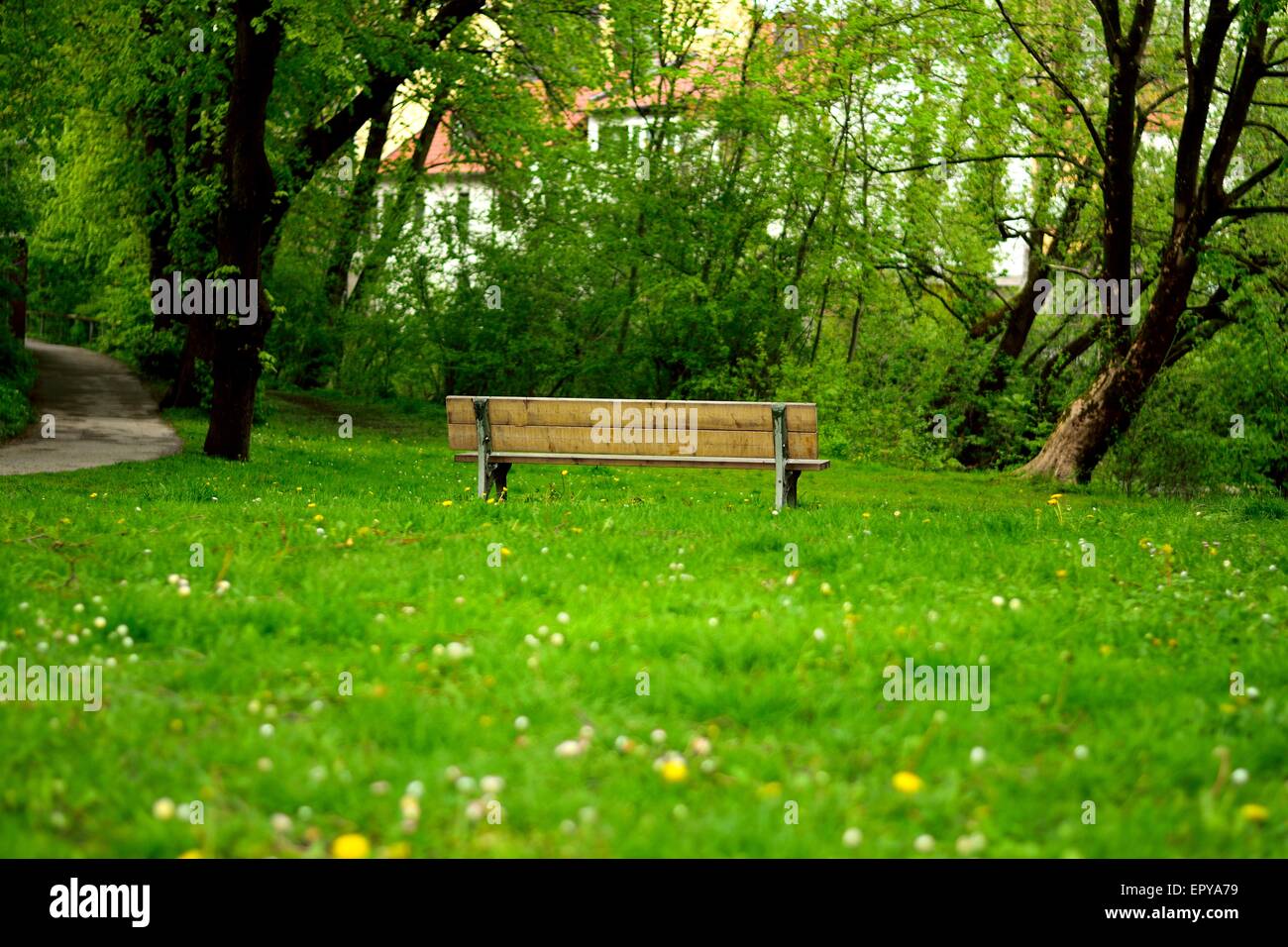 Wooden bench in the park in springtime Stock Photo - Alamy