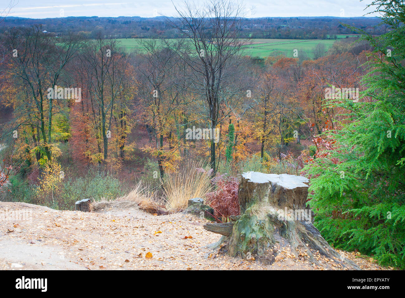 The new colours hi-res stock photography and images - Alamy