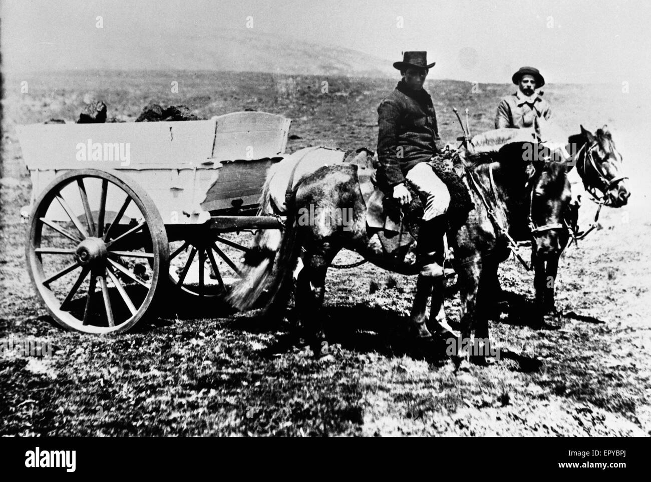 Collecting the horse Black and White Stock Photos & Images - Alamy