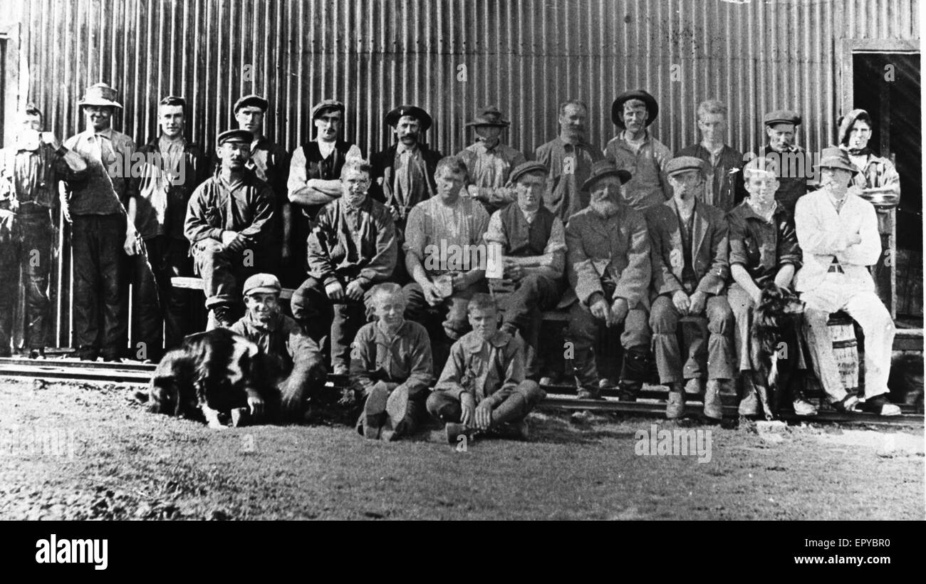 Sheep farming falklands hi-res stock photography and images - Alamy