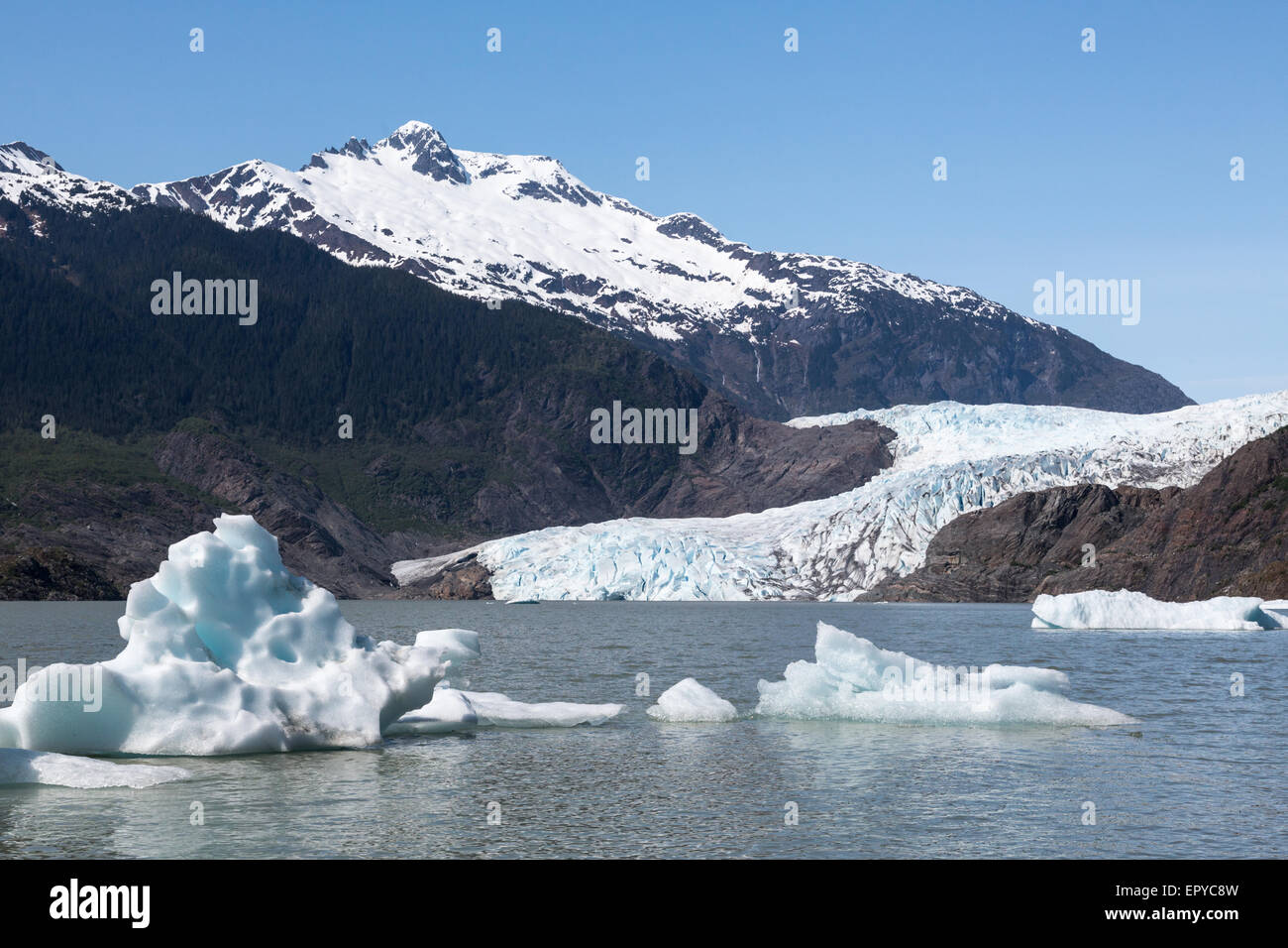 Alaska iceberg mendenhall glacier hi-res stock photography and images ...
