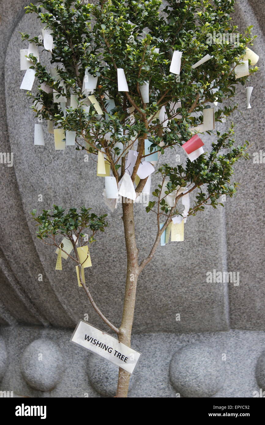 Wishing tree hi-res stock photography and images - Alamy
