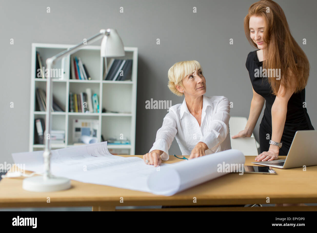Women working in the office Stock Photo - Alamy