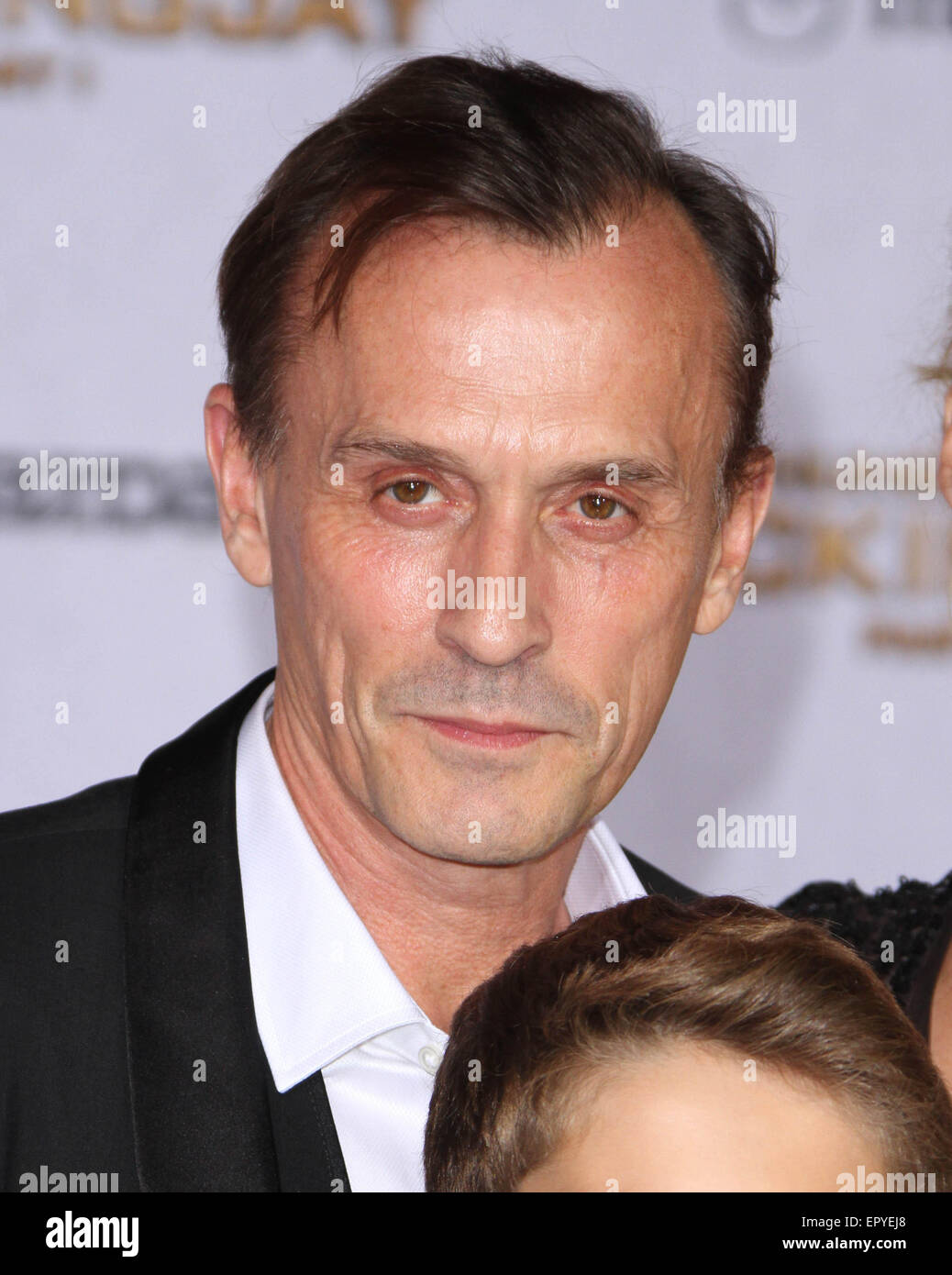 Robert Knepper Hunger Games