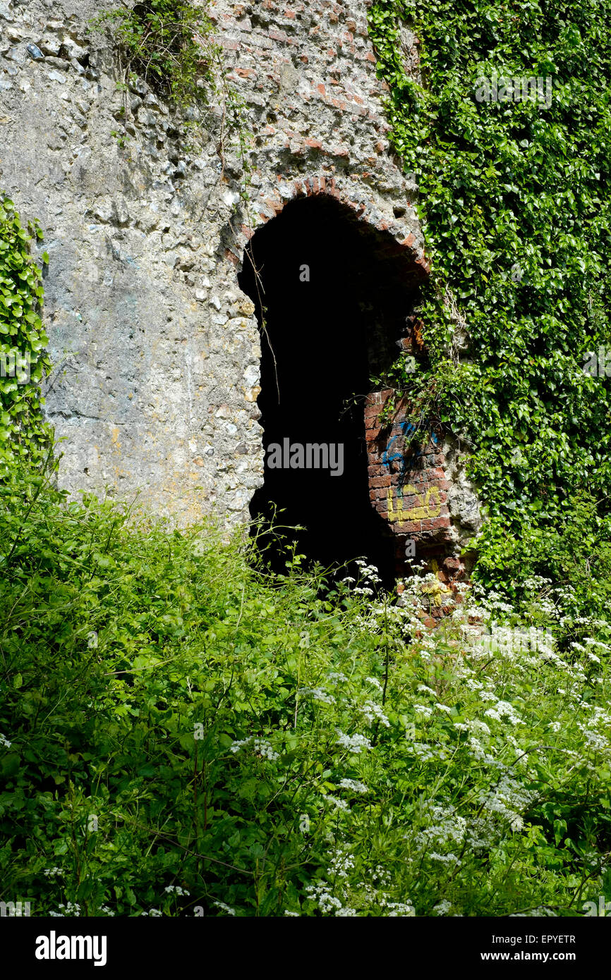 racton ruins folly tower in hampshire england uk Stock Photo - Alamy