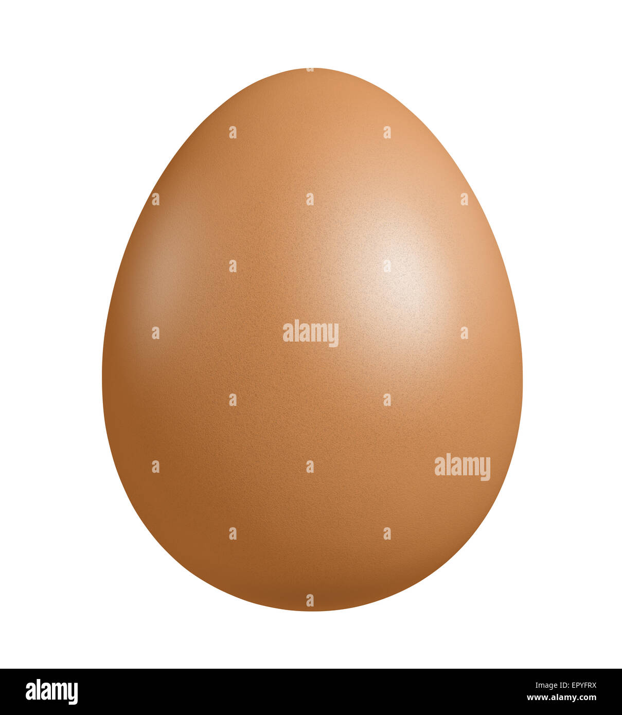 Close up of Brown Egg, isolated on white background with clipping path ...