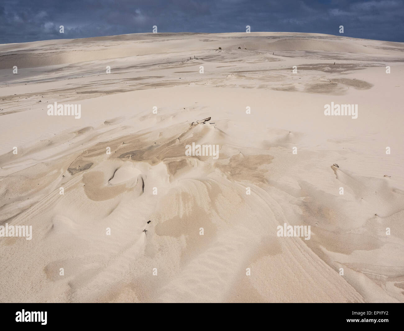 Dunes at Leba, Poland Stock Photo - Alamy