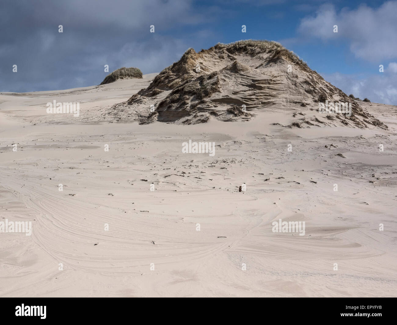 Dunes at Leba, Poland Stock Photo - Alamy