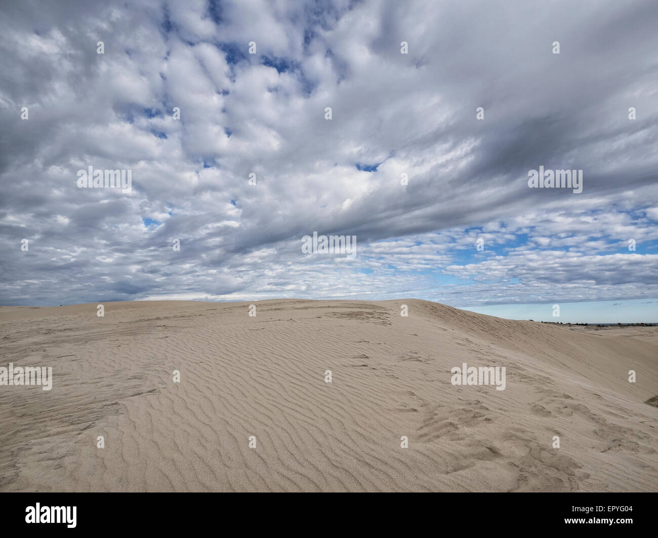 Dunes at Leba, Poland Stock Photo - Alamy