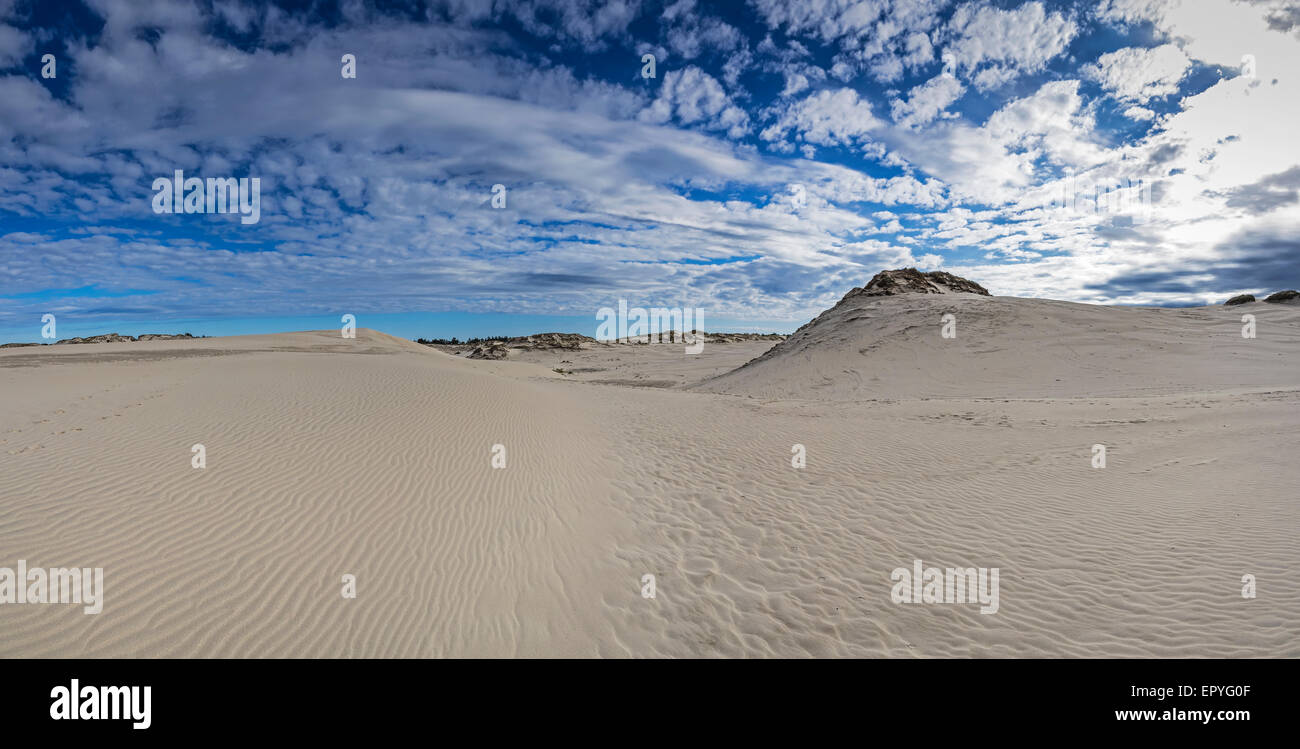 Dunes at Leba, Poland Stock Photo - Alamy
