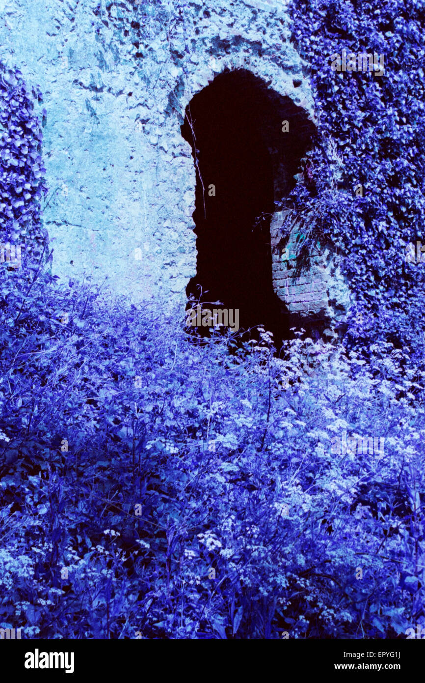 racton ruins folly tower in hampshire england uk Stock Photo - Alamy