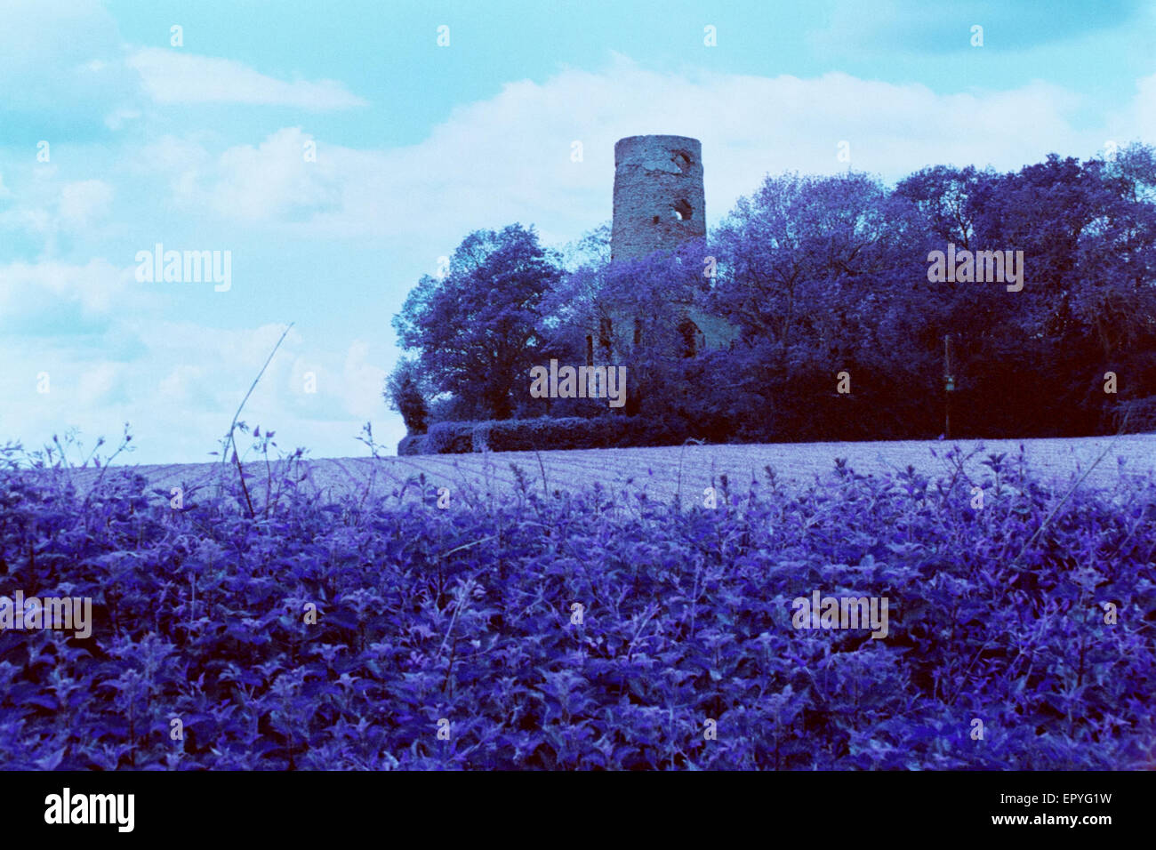 racton ruins folly tower in hampshire england uk Stock Photo - Alamy