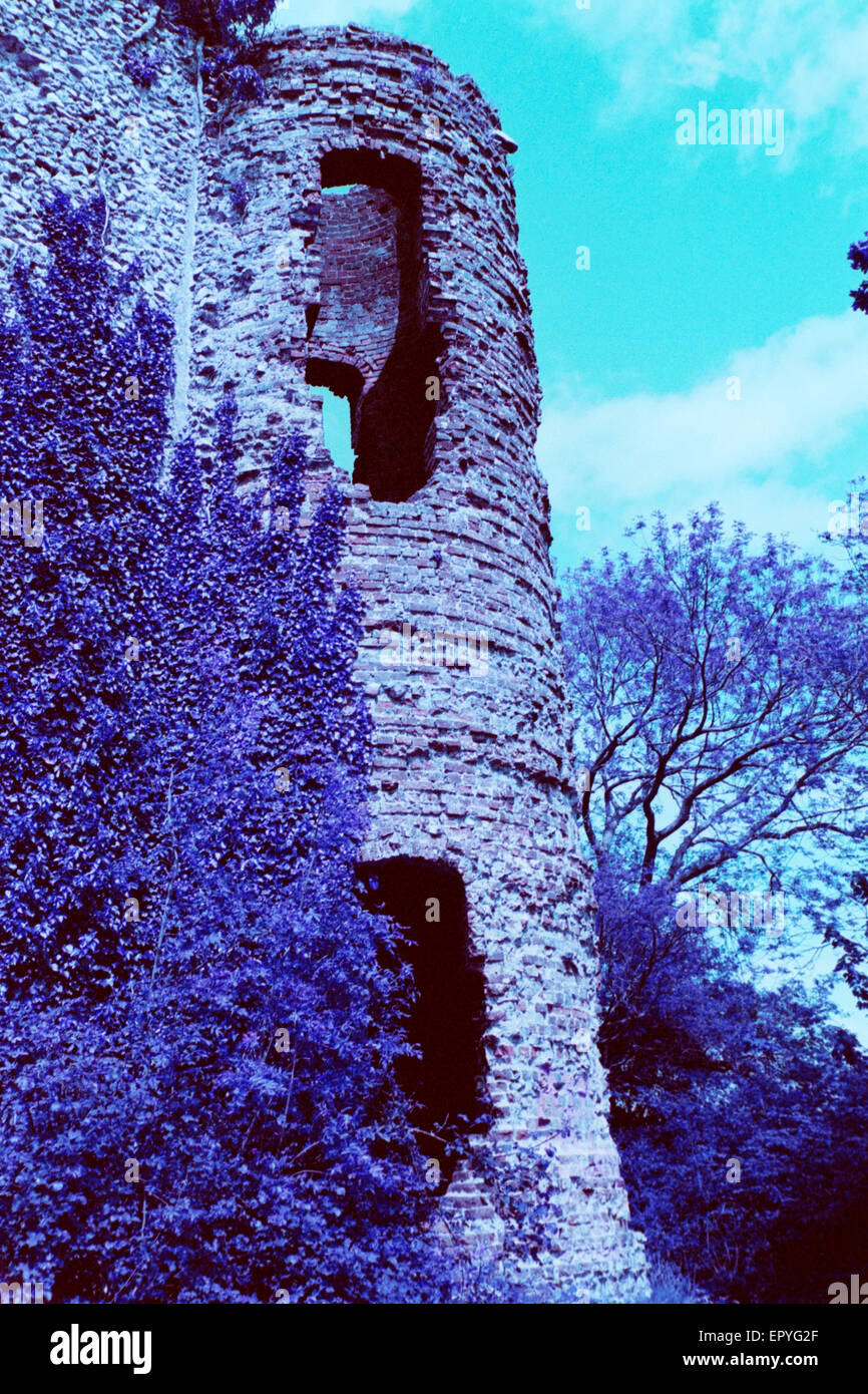 racton ruins folly tower in hampshire england uk Stock Photo - Alamy