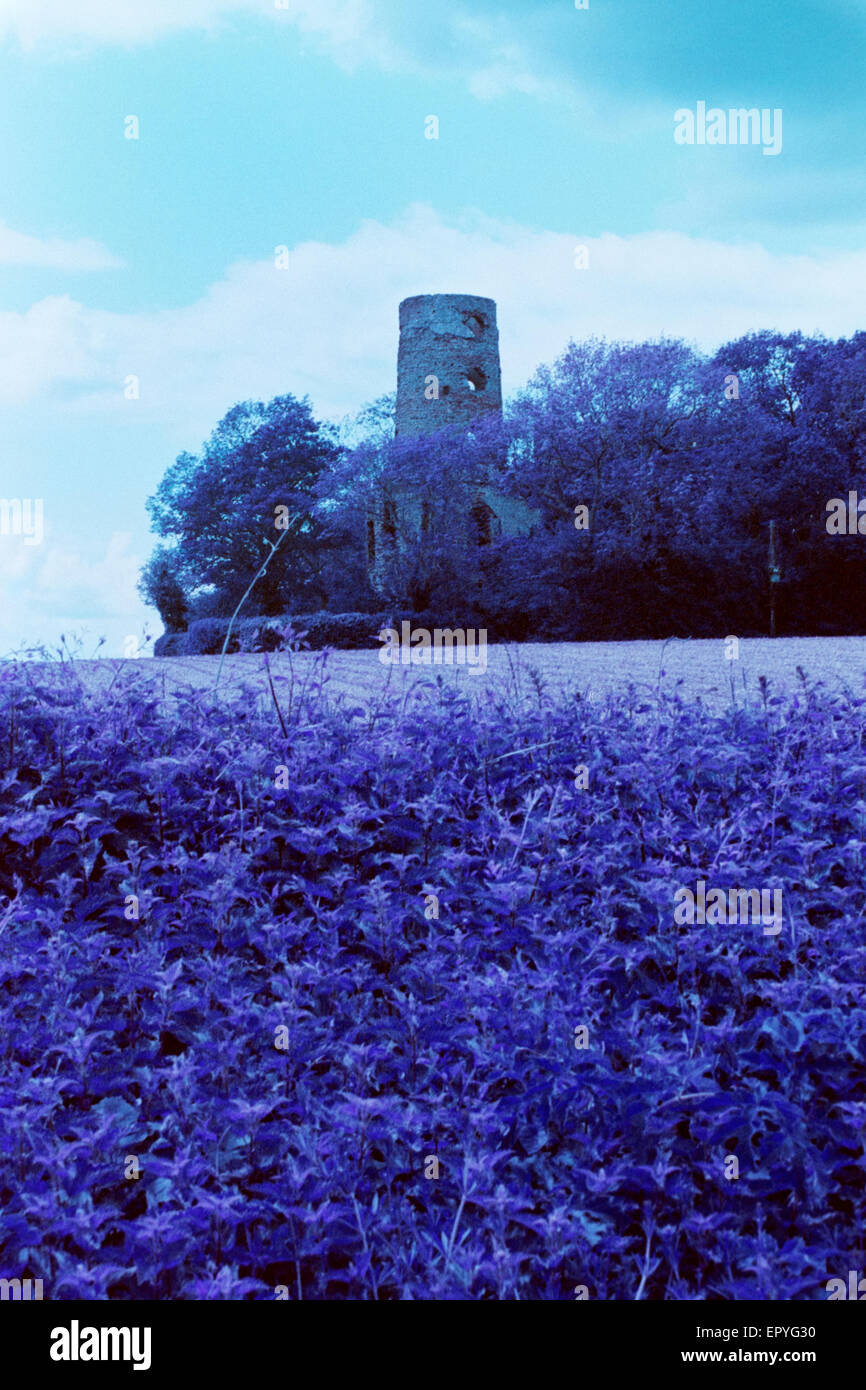 racton ruins folly tower in hampshire england uk Stock Photo - Alamy