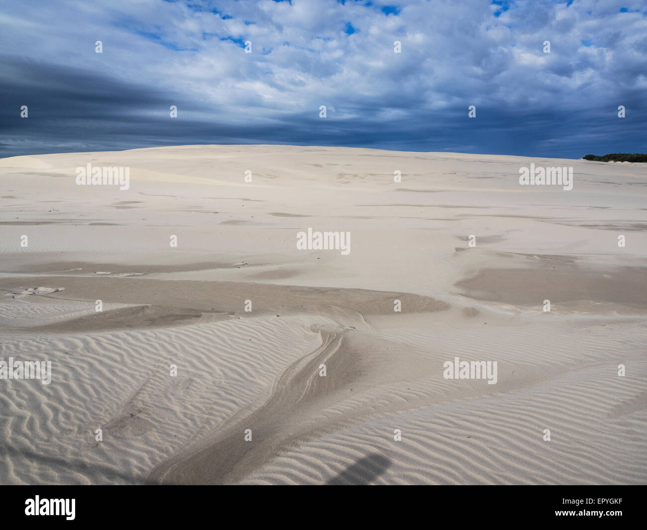 Dunes at Leba, Poland Stock Photo - Alamy