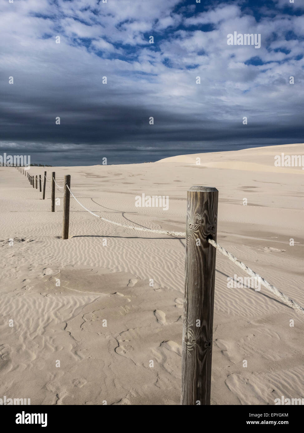 Dunes at Leba, Poland Stock Photo - Alamy