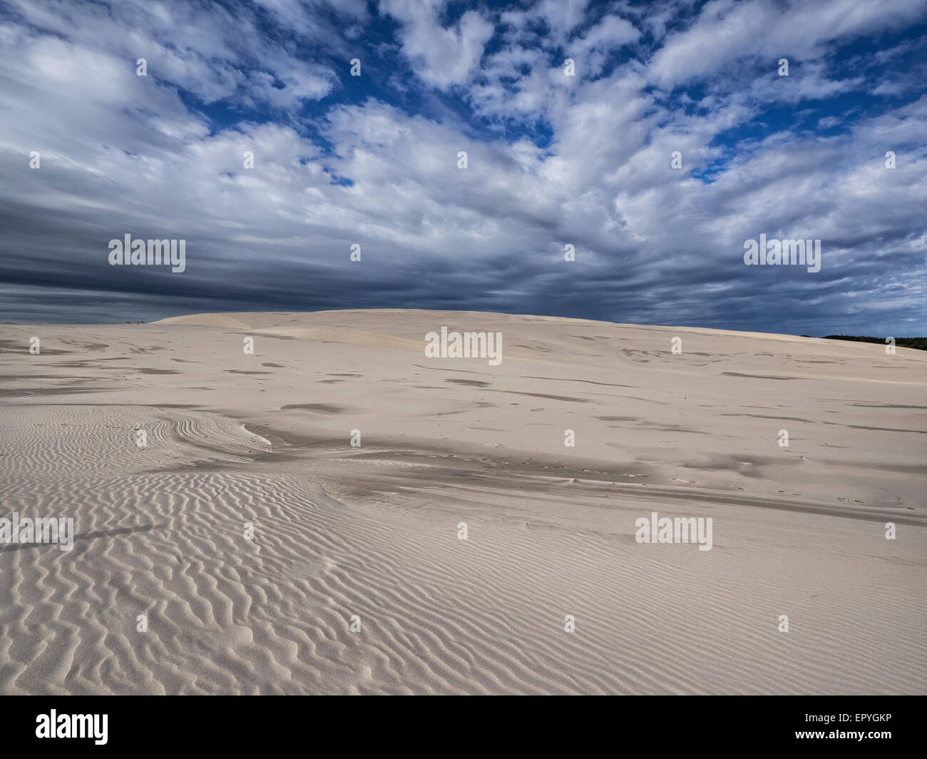 Dunes at Leba, Poland Stock Photo - Alamy