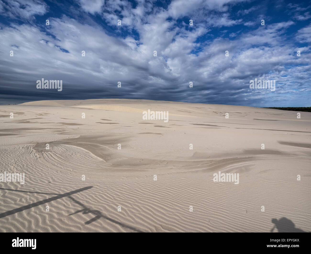 Dunes at Leba, Poland Stock Photo - Alamy