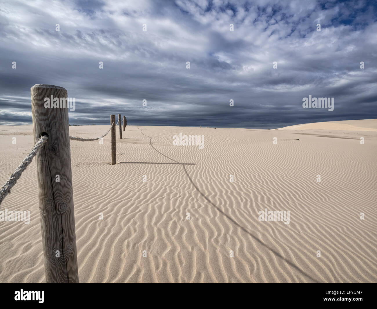 Dunes at Leba, Poland Stock Photo - Alamy