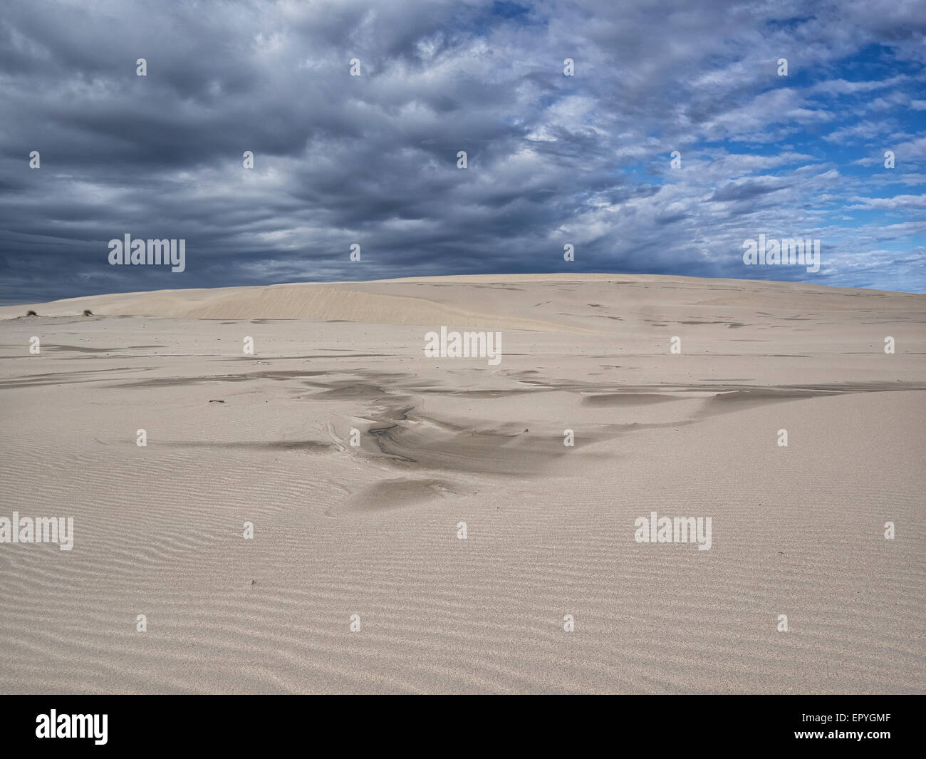 Dunes at Leba, Poland Stock Photo - Alamy