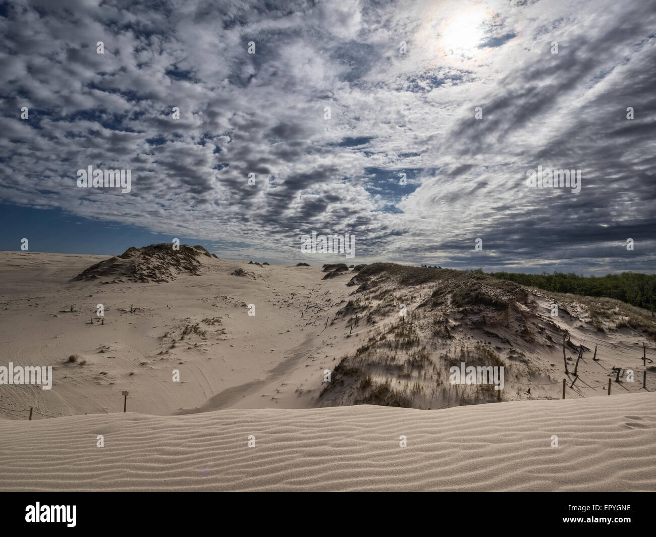 Dunes at Leba, Poland Stock Photo - Alamy
