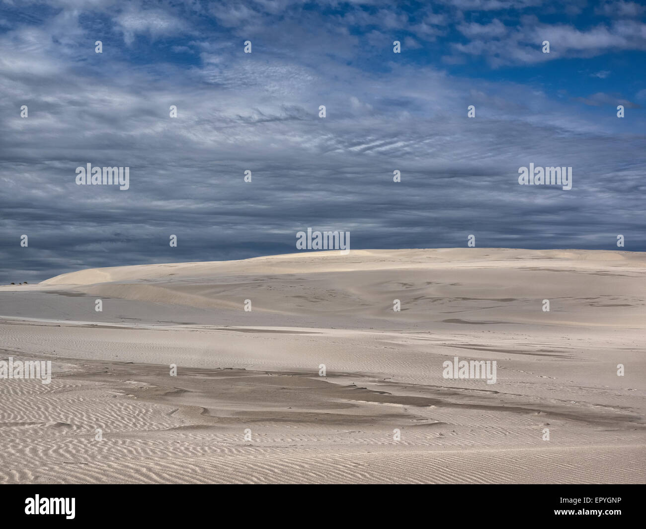 Dunes at Leba, Poland Stock Photo - Alamy