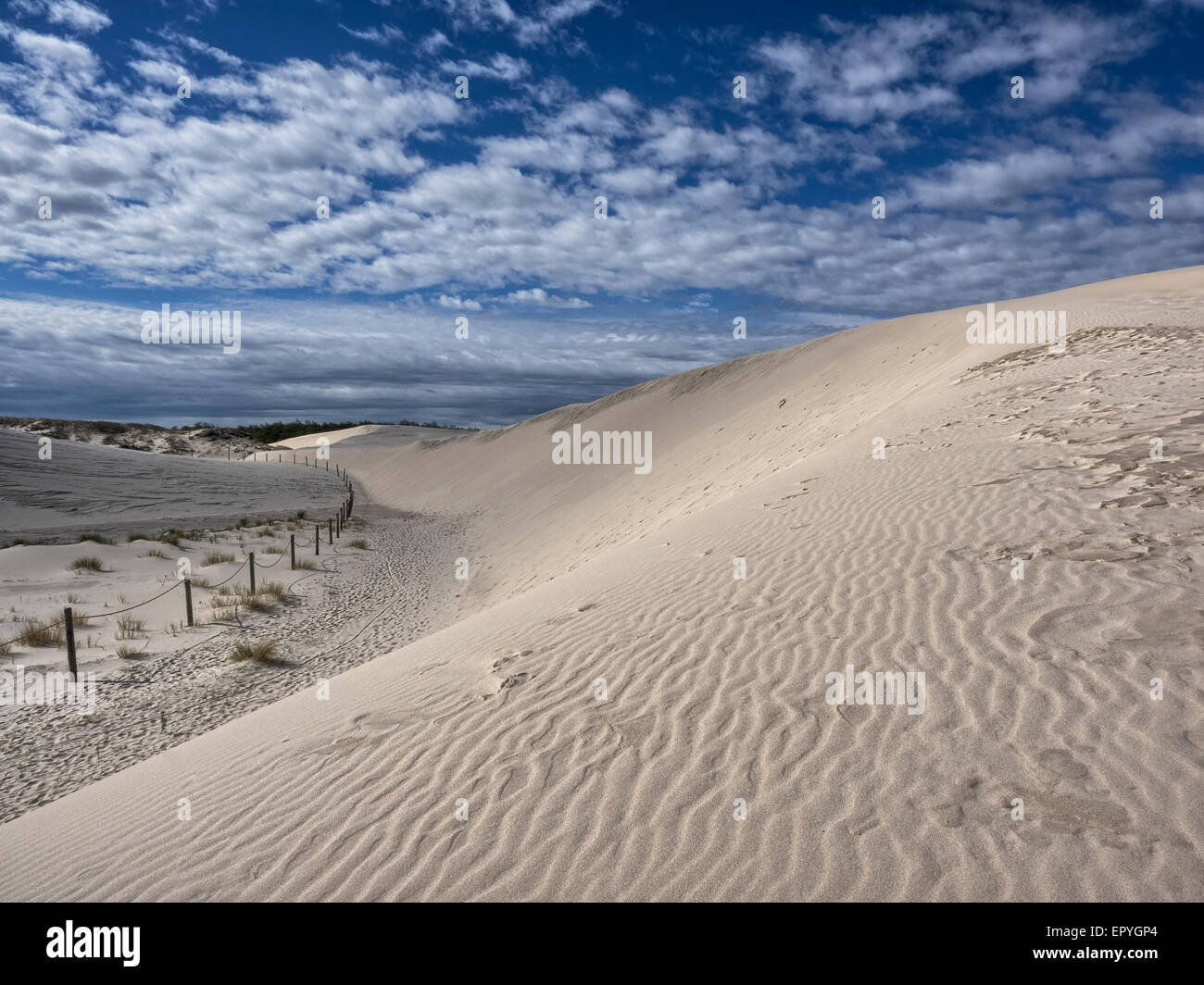 Dunes at Leba, Poland Stock Photo - Alamy